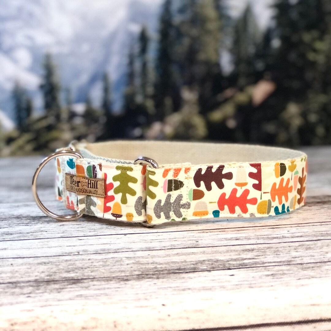 Colorful Fall Leaf Dog Collar Fall Dog Collar Oak Leaf Dog - Etsy