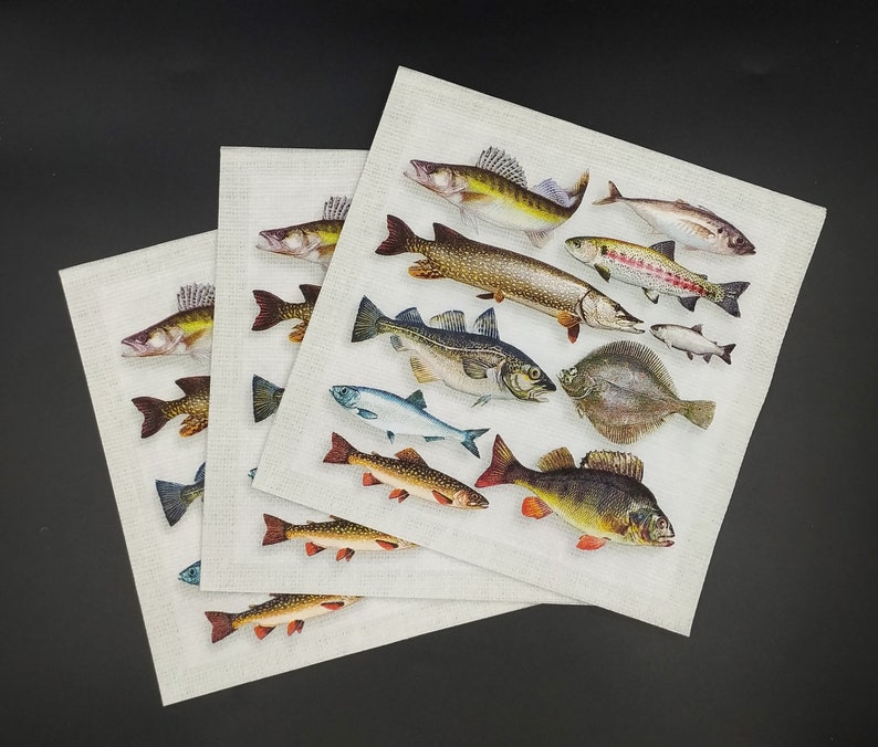 T055# 3 Pieces of Single Paper Napkins for Decoupage, Craft Tissue ...