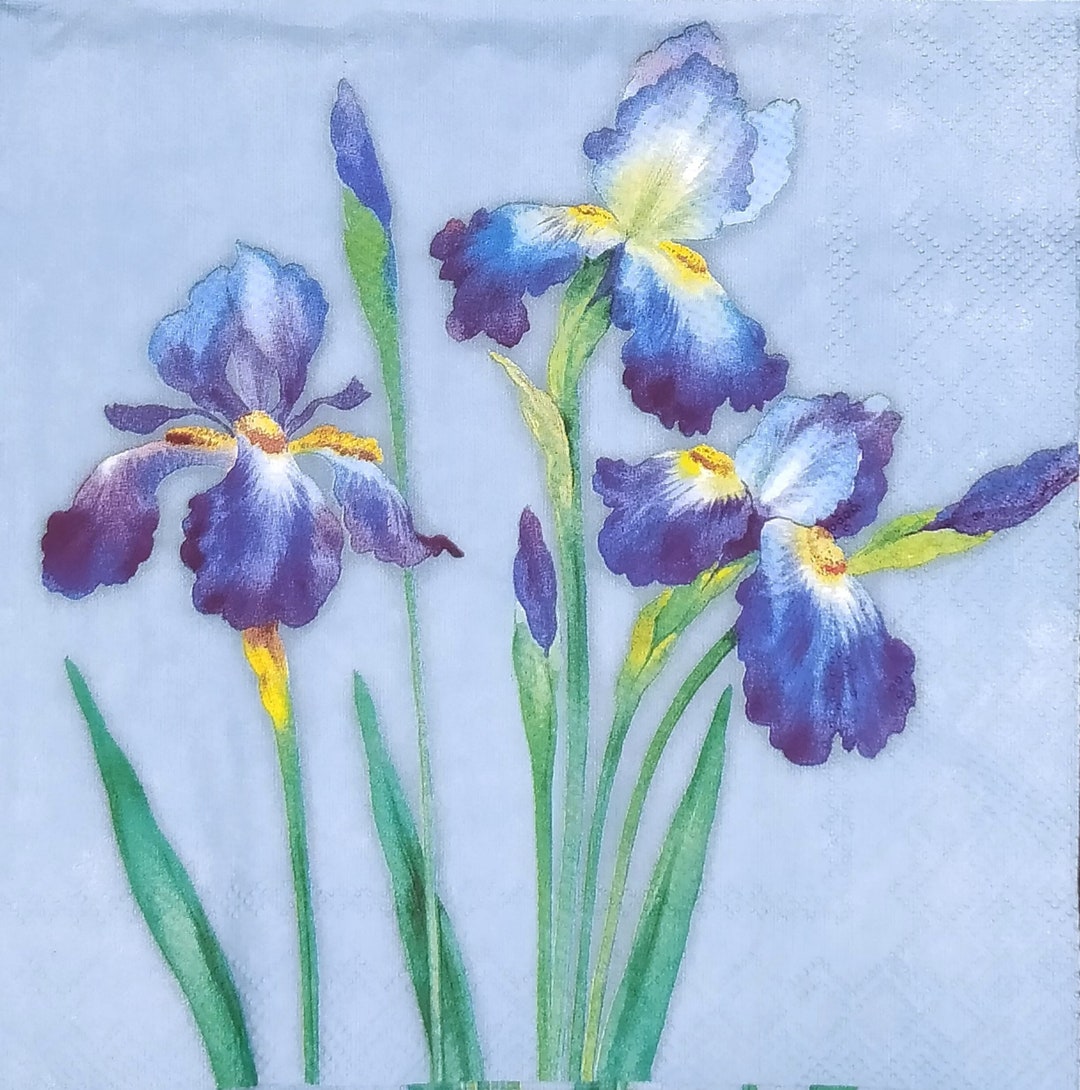 P899# 3 Pieces of Single Paper Napkins for Decoupage, Craft Tissue ...