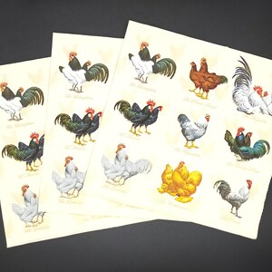 P181# 3 Pieces of Single Paper Napkins for Decoupage, Craft Tissue ...