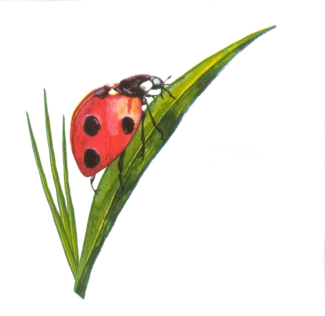 R881 3 Pieces of Single Paper Napkins for Decoupage, Craft Tissue, Red ...