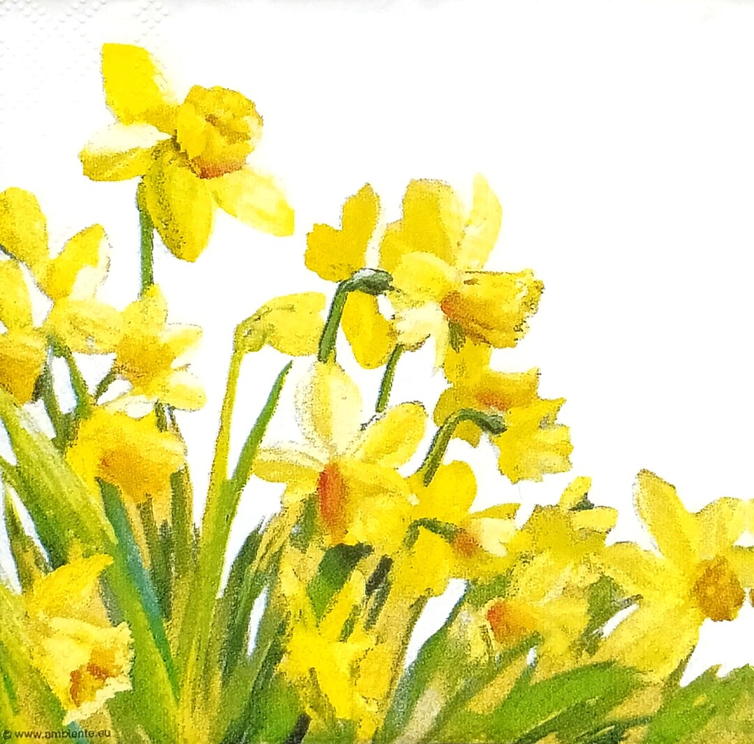 P796# 3 Pieces of Single Paper Napkins for Decoupage, Craft Tissue ...