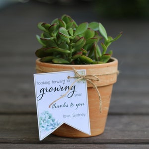 Teacher Thank You Gift - Personalized - Looking Forward to Growing This ...