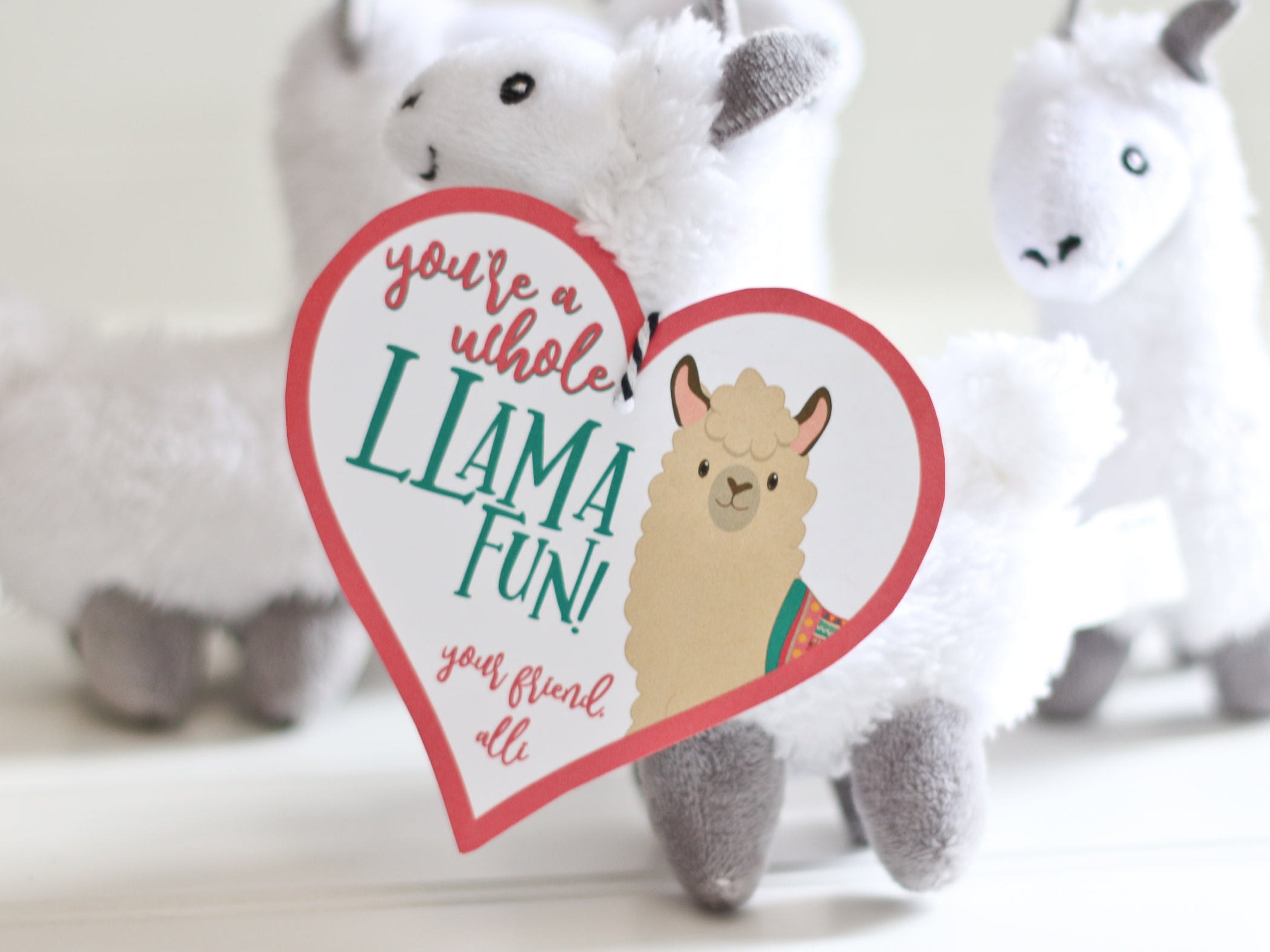 Valentine Printable You're a Whole LLAMA FUN | Etsy