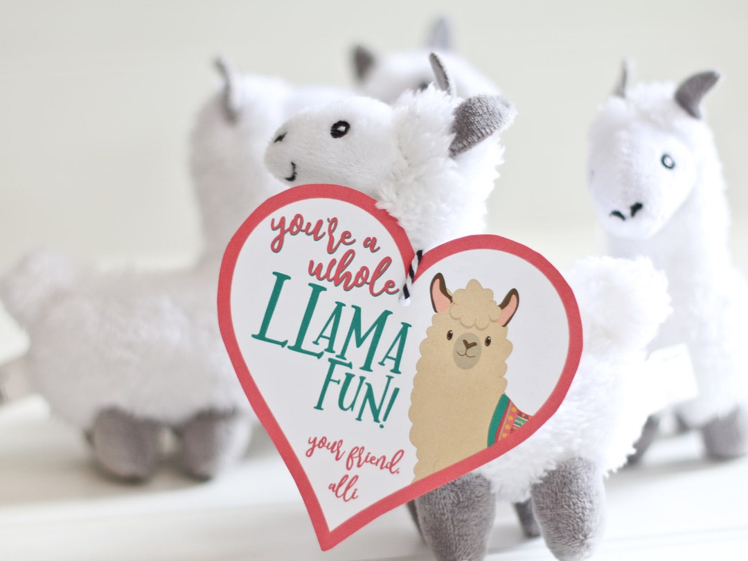 Valentine Printable - You're a Whole LLAMA FUN! - PERSONALIZED - Llama ...
