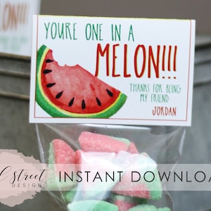 One in a Melon! - Watermelon Favor - Melon Treat Bag - One in a Million ...