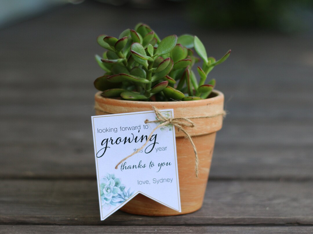 Teacher Thank You Gift - Personalized - Looking Forward to Growing This ...