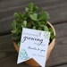 Teacher Thank You Gift - Personalized - Looking Forward to Growing This ...