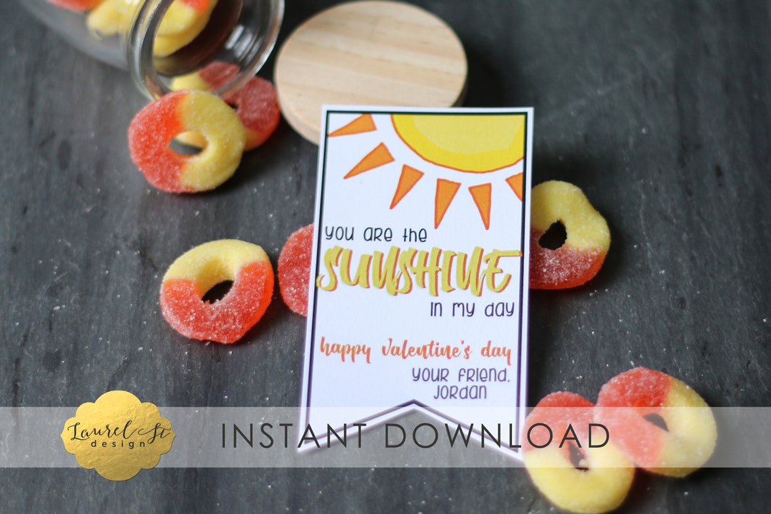 Valentine Printable You Are the SUNSHINE in My Day INSTANT DOWNLOAD ...