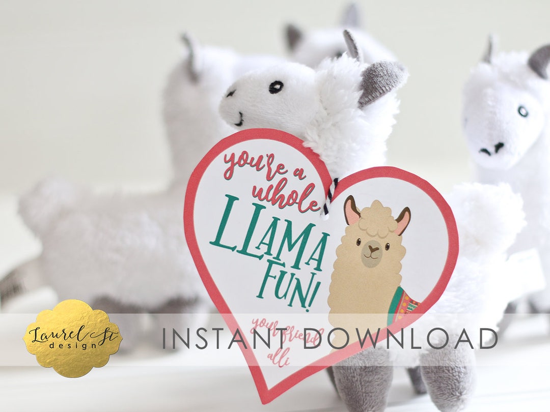 Valentine Printable - You're a Whole LLAMA FUN! - Instant Download ...