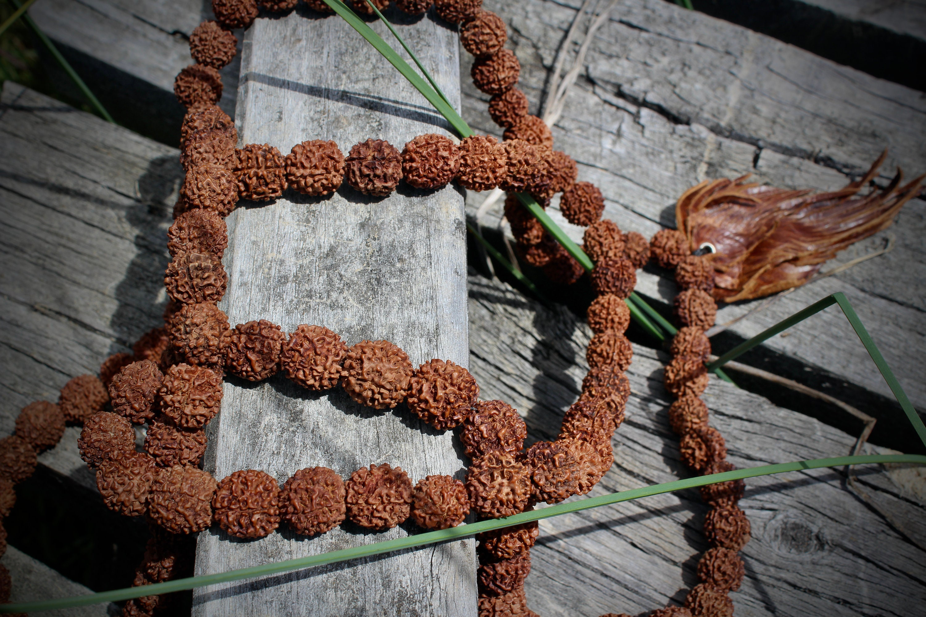 Mala Prayers Beads 5 Mukhi Rudraksha 108 Beads Meditation - Etsy