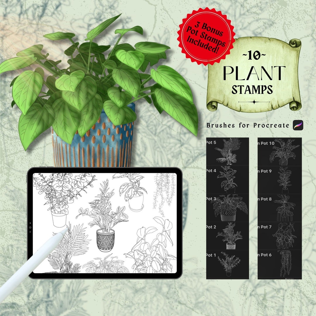 10 Plant Stamps 3 Bonus Pot Brushes Pot Plant Brushes Procreate Stamps ...