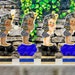 Pharaoh Prince Theme | Pharaoh Baby Shower | Egyptian Theme Baby Shower ...