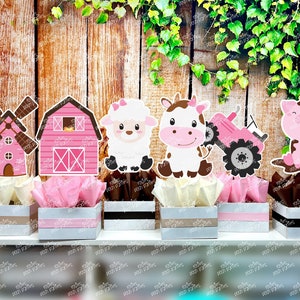 Pink Farm Theme Girl Farm Birthday Pink Farm Party Farm - Etsy