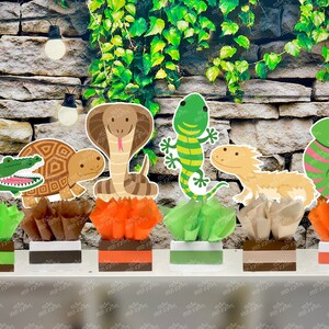 Reptile Theme | Reptile Birthday Party Decoration | Snake Reptile Theme ...