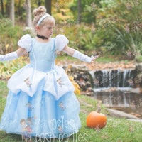 Brandy Cinderella Costume in Blue Verison - Cinderella Dress ...
