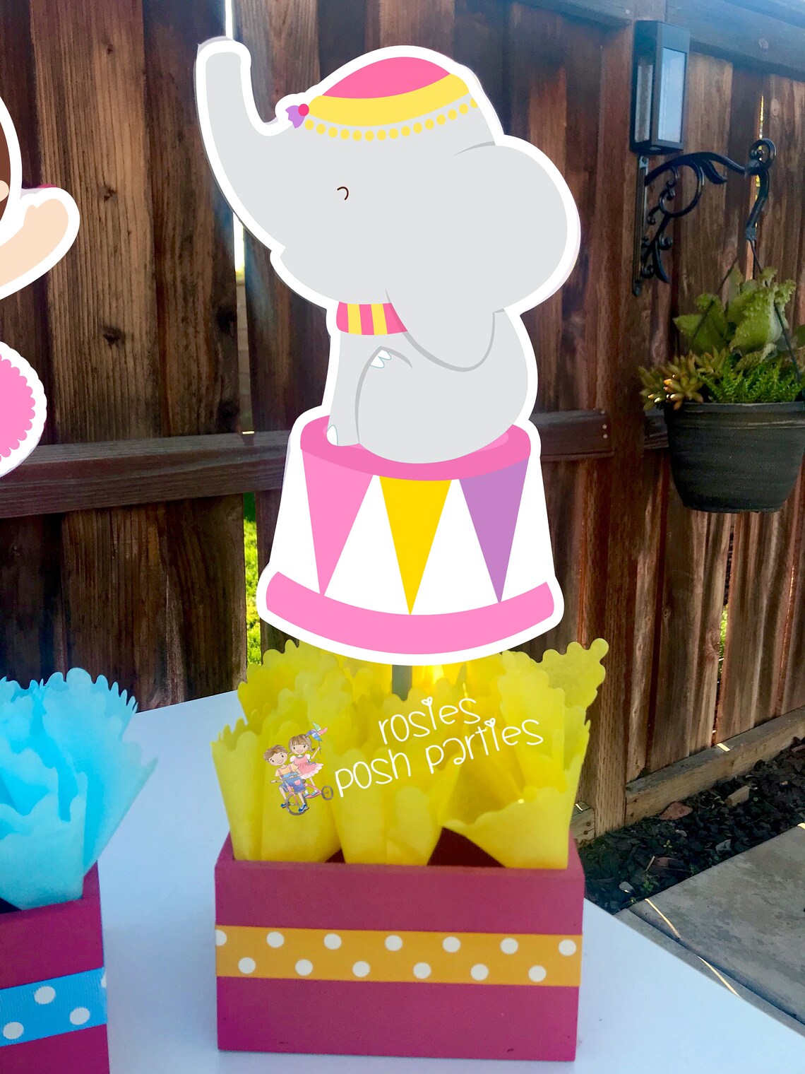 Pink Carnival Theme Girl Circus Party Pink Carnival - Etsy