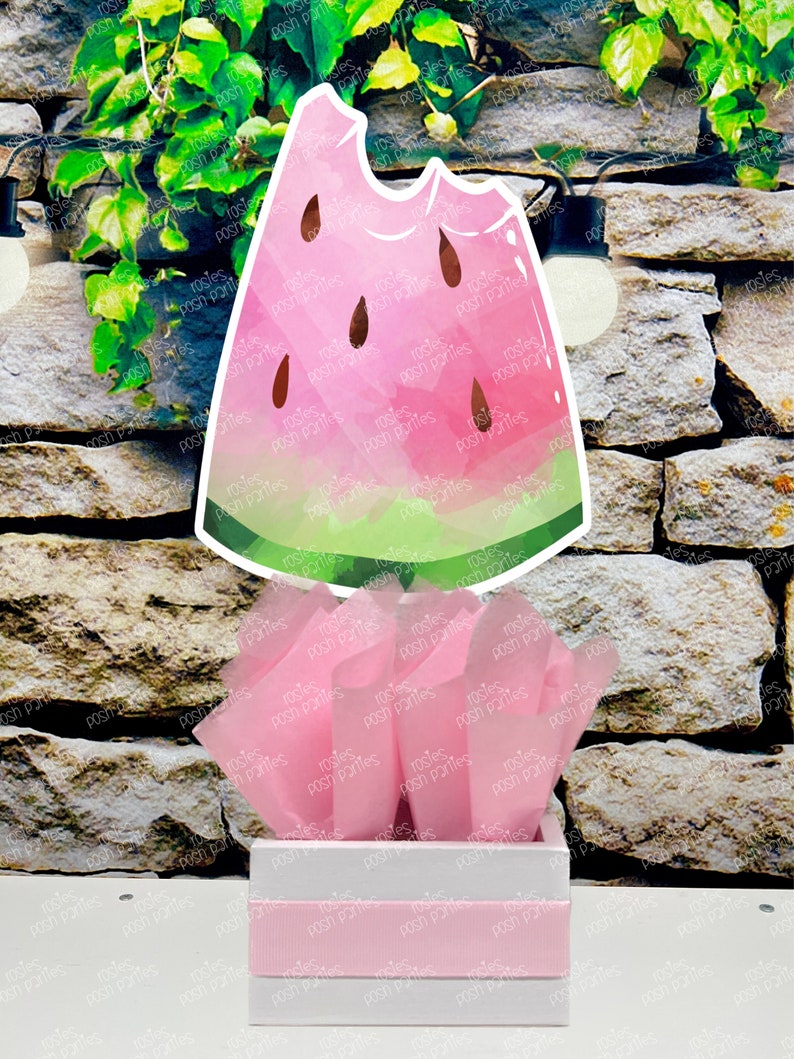 One in A Melon Birthday | First Birthday | Watermelon Theme | Baby ...
