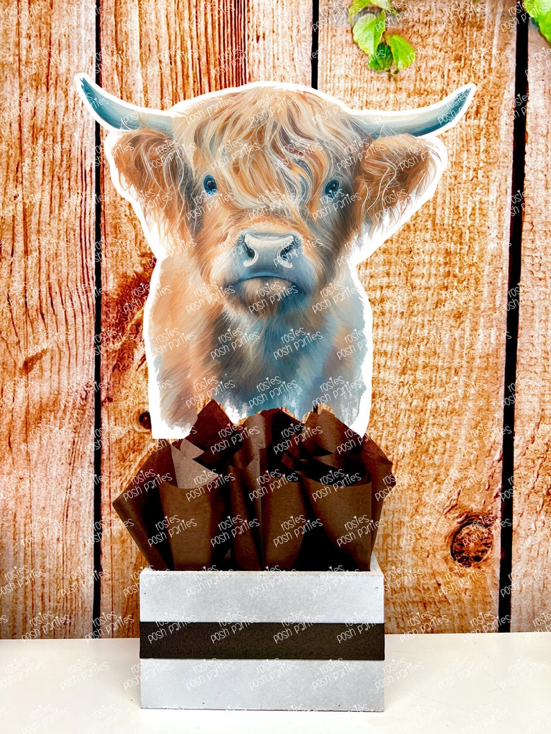 Boho Highland Cow Baby Shower Theme Bohemian Highland Cow - Etsy