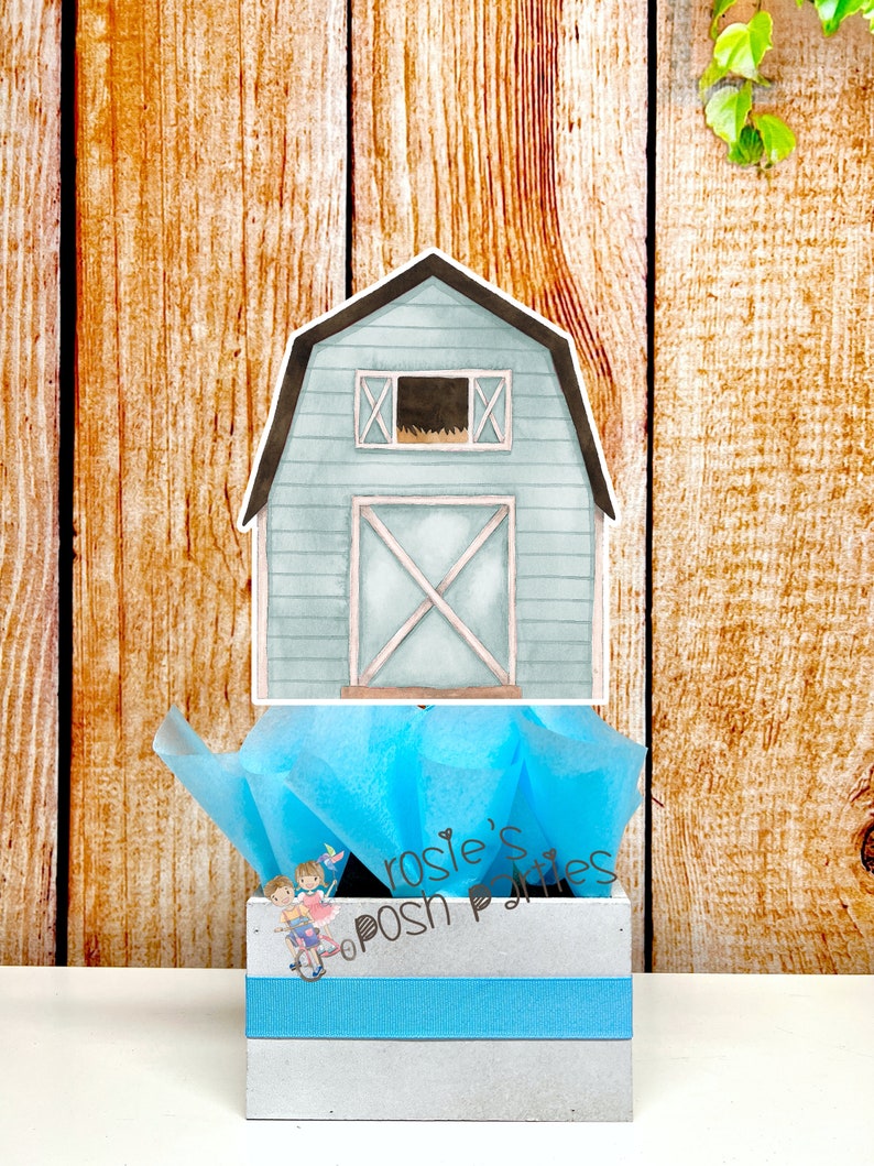 Farm Theme Birthday Theme Farm Theme Baby Shower Barn Yard | Etsy