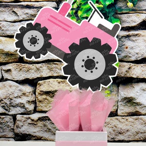 Pink Farm Theme | Girl Farm Birthday | Pink Farm Party | Farm ...