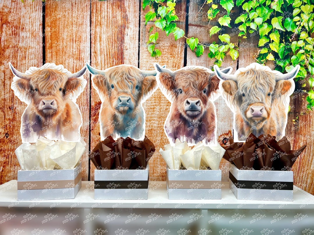 Boho Highland Cow Baby Shower Theme Bohemian Highland Cow - Etsy