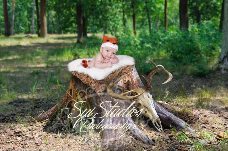 Antlers-skull Infant-newborn Hunting Digital Backdrop for Baby ...