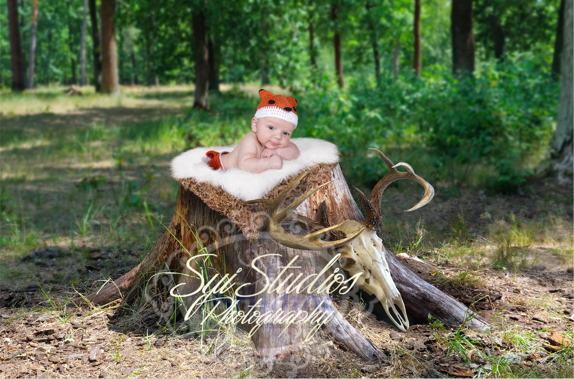 Antlers-skull Infant-newborn Hunting Digital Backdrop for Baby ...