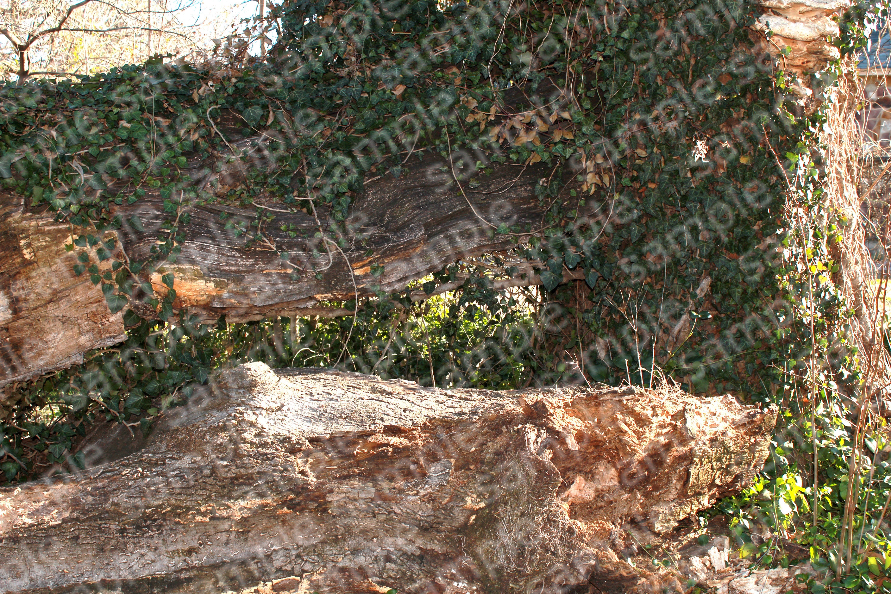 Rustic Country Log Digital Backdrop for Photography - Etsy