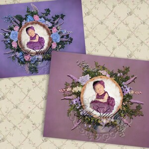 2 for One! Newborn Digital Photography Backdrop Purple With Flowers ...
