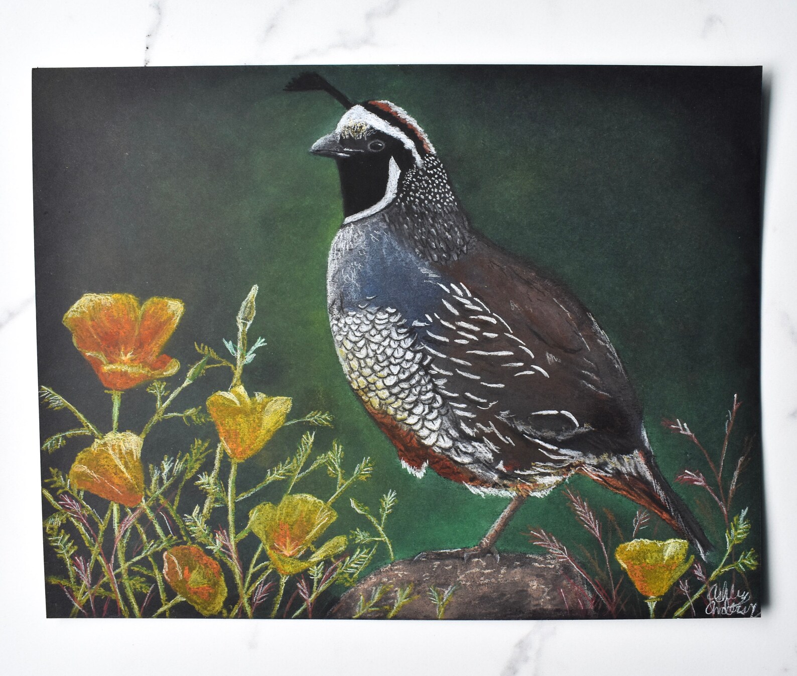 Koala and Quail Chalk Pastel Drawing - Etsy