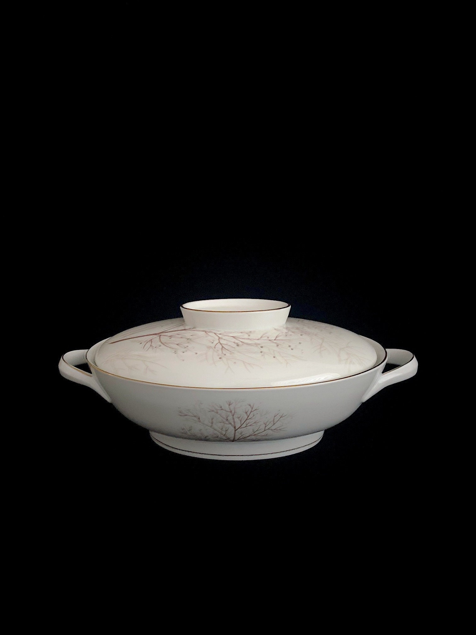 Vintage Mid Century Modern Rosenthal Porcelain Germany Selb Plossberg ...