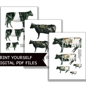 Cow Printable Card Kit Printable Cow Watercolor Clipart for | Etsy