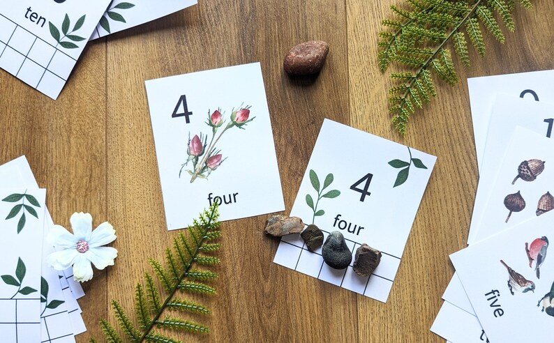 1-10 Nature Counting Activity Flash Cards & Poster - Educational Tool ...