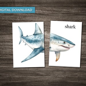 Sea Ocean Match Game Flash Cards for Kids - Instant Digital Download ...