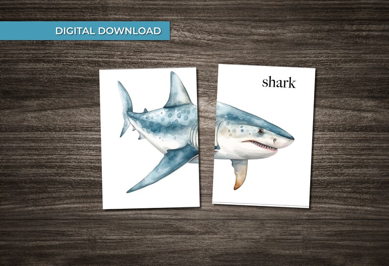 Sea Ocean Match Game Flash Cards for Kids - Instant Digital Download ...
