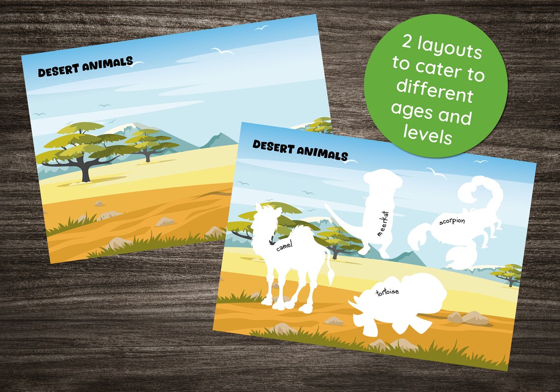 Habitat Matching Game Activity Pack - Kids Matching Game - Rainforest ...