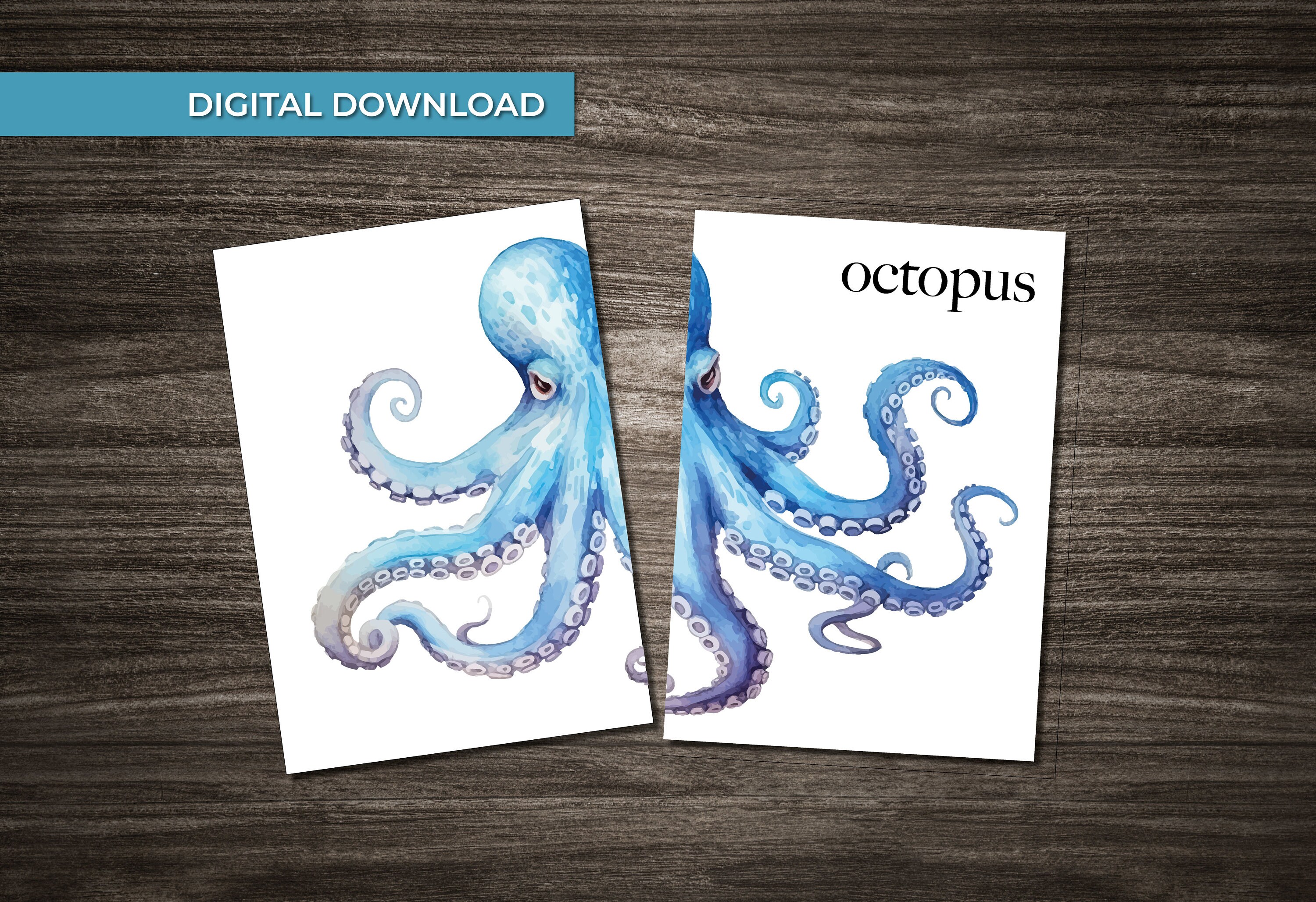 Sea Ocean Match Game Flash Cards for Kids - Instant Digital Download ...