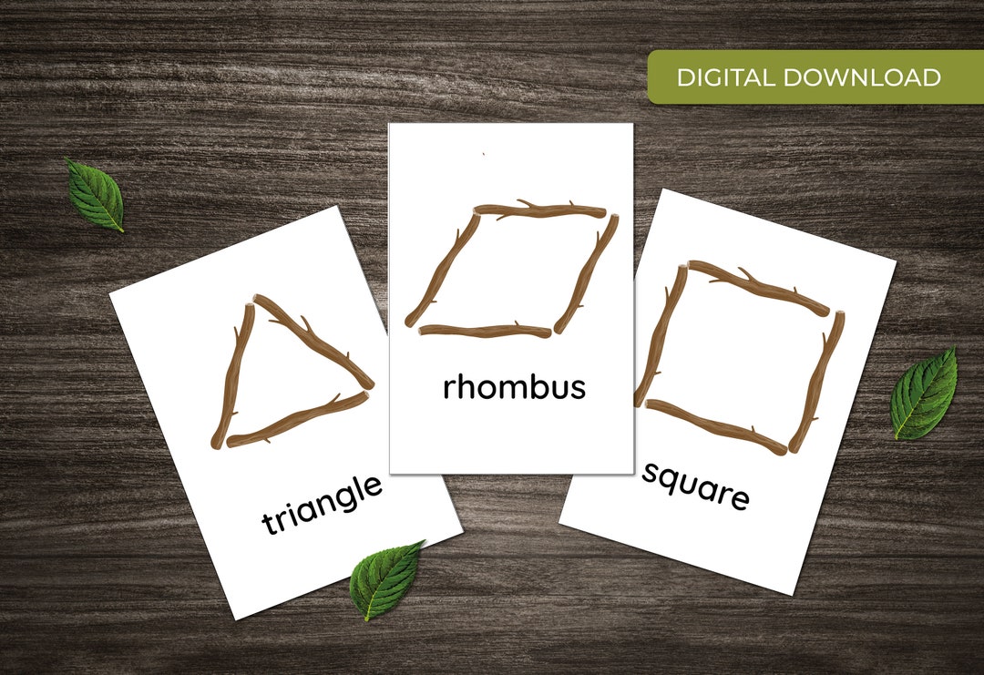 Nature Stick Shape Flash Cards: Forest School Learning (digital ...