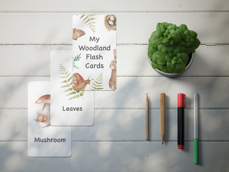 Woodland Forest Flash Cards: Nature Learning (digital Download) - Etsy