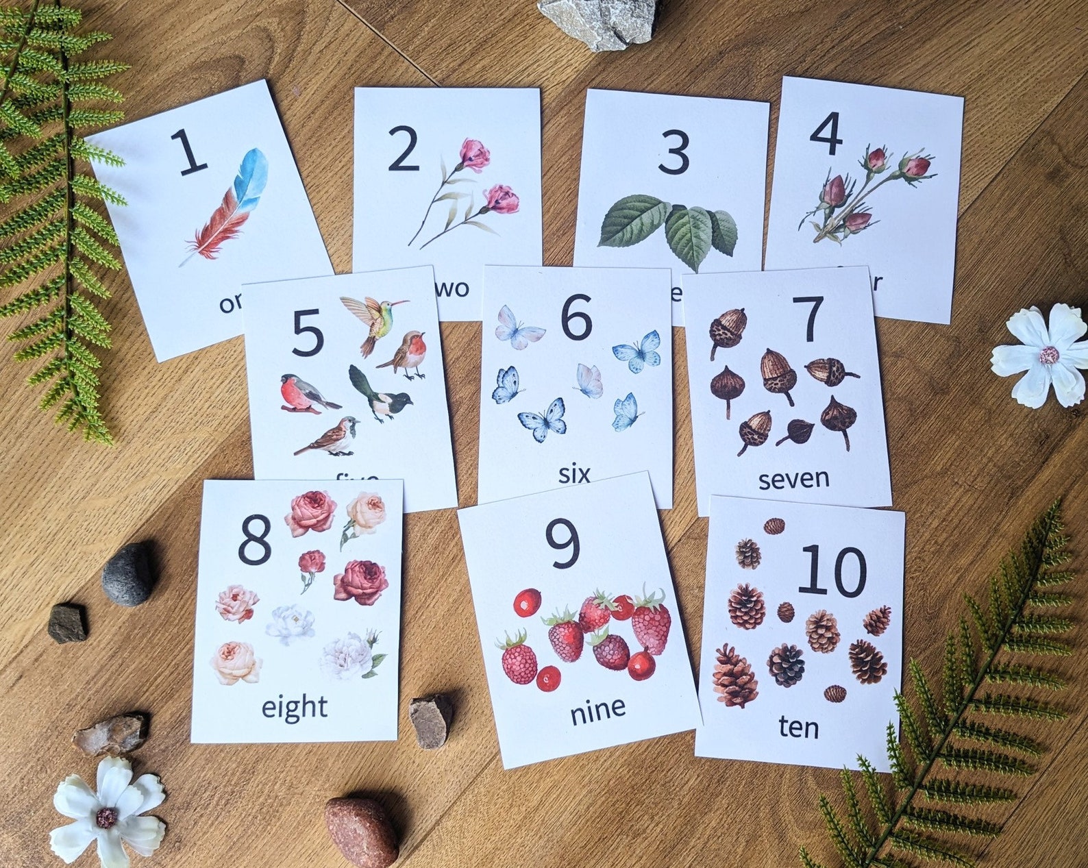 1-10 Nature Counting Activity Flash Cards & Poster - Educational Tool ...