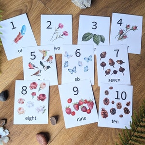 1-10 Nature Counting Activity Flash Cards & Poster - Educational Tool ...