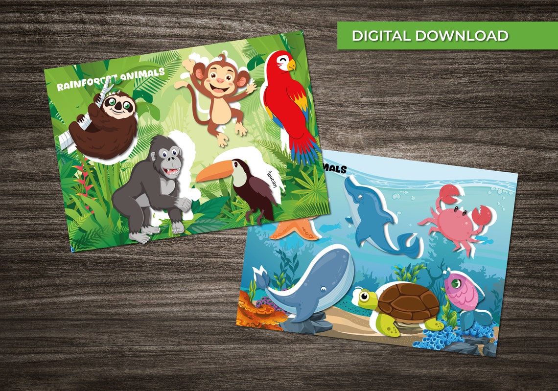 Habitat Matching Game Activity Pack - Kids Matching Game - Rainforest ...