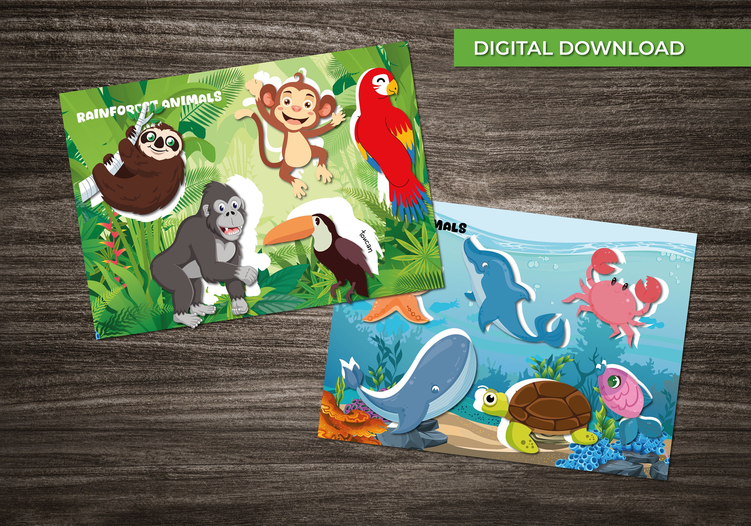 Habitat Matching Game Activity Pack - Kids Matching Game - Rainforest ...