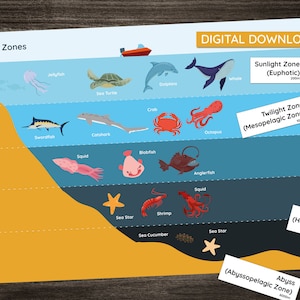 Oceans Zones Learning Pack Educational Learning Geography Biology Science Instant Digital ...