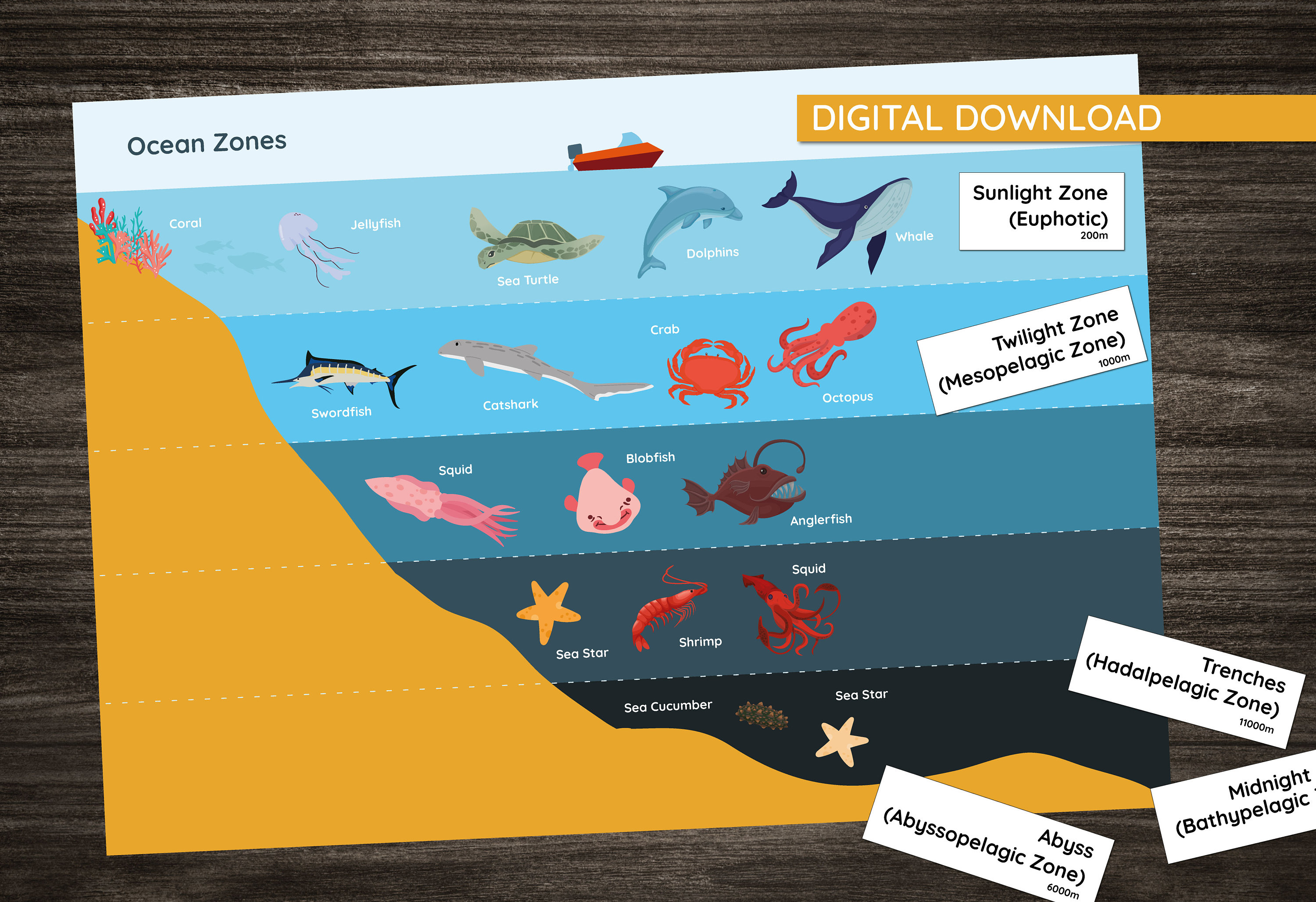 Oceans Zones Learning Pack Educational Learning Geography Biology ...