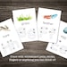 Nature Counting Activity Educational Learning Game Sheet- Instant ...