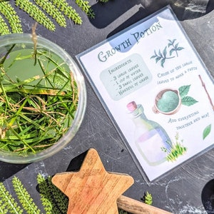 Mud Kitchen Magic Potions Recipe Flash Cards and Posters - Outdoor ...