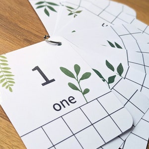 1-10 Nature Counting Activity Flash Cards & Poster - Educational Tool ...