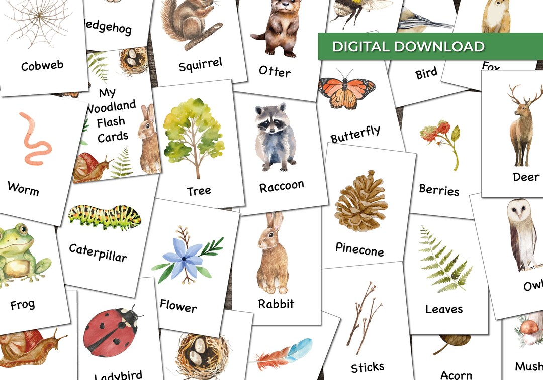 Woodland Forest Flash Cards: Nature Learning (digital Download) - Etsy